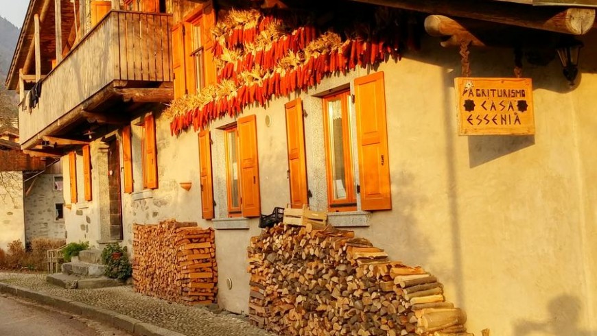 La tua vacanza in un maso eco-friendly del Trentino Alto Adige