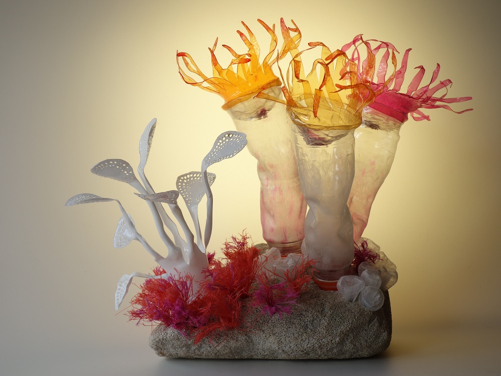 PET-art: quando Riciclare la Plastica diventa un'Arte