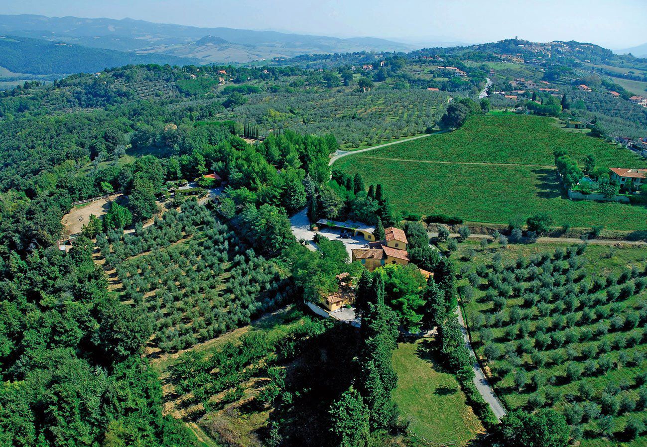 Agriturismo La Prugnola: una insolita vacanza nella campagna toscana ...