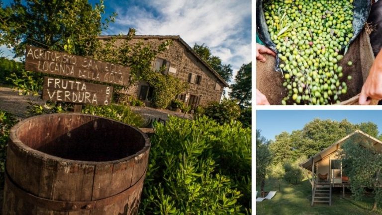 10 Fattorie Bio per una Vacanza Contadina - Ecobnb
