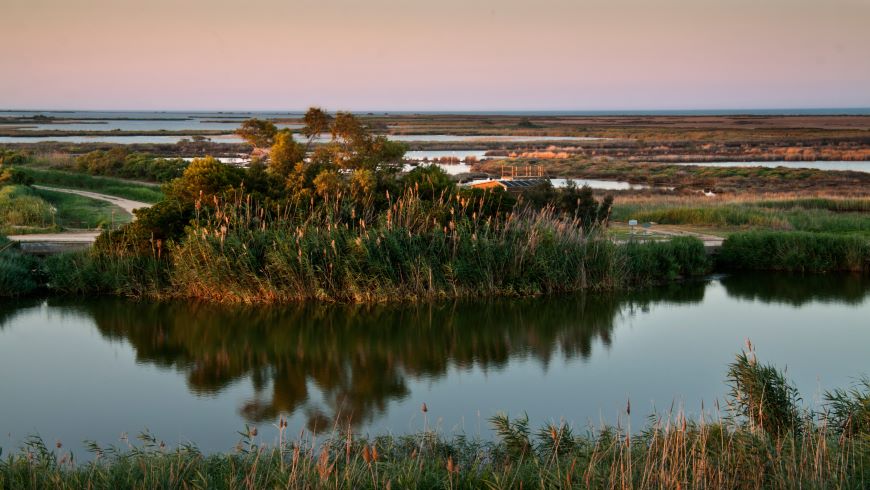 Parco naturale Delta dell'Ebro - Ecobnb
